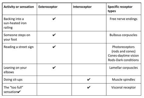 Interoceptors Types