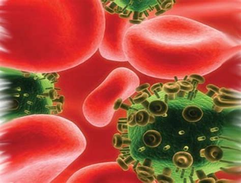 Ddxhub Differential Diagnosis Useful When Lab Tests And Symptoms Are Unclear Reference