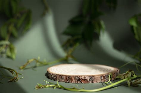 그림자와 어두운 녹색 배경에 프리젠 테이션 및 전시회를위한 자연 둥근 나무 스탠드 유기농 화장품을 위해 녹색 잎으로 3d 빈 연단을 모의 공간을 복사합니다 어두운 색에 대한