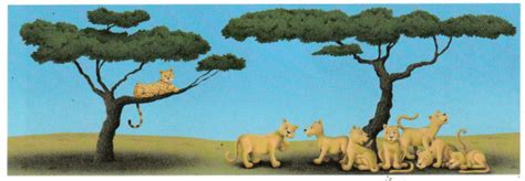 Math Expressions Grade Student Activity Book Unit Lesson Answer Key Focus On Mathematical