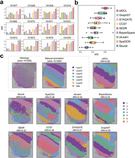 Accurate Spatial Heterogeneity Dissection And Gene Regulation