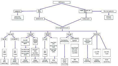 algorithm for laboratory testing orientation to diagnosis iei with