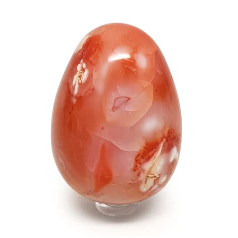 Carnelian Egg The Fossil Cartel