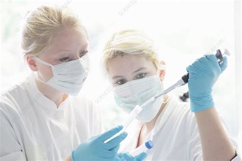 Scientist Pipetting Liquid In Lab Stock Image F018 8661 Science Photo Library
