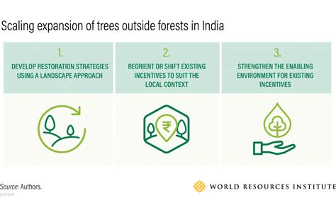 How To Responsibly Grow Millions Of Trees Outside Of Forests In India