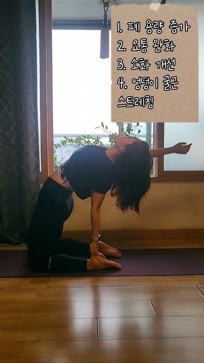 Ustrasana 요가낙타자세를 하면 India 요가 Travel Yoga 오운완 Youtube