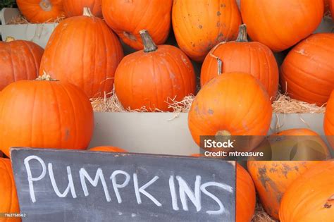 할로윈 10 월 31 일에 조각 에 대한 건강한 유기농 잘 익은 오렌지 호박 더미를 판매하는 호박 농장 가게의 이미지 잭 Olantern 조각 얼굴의 표지판과 계층 선반 갓