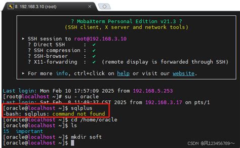 【linux Andoracle】安装oracle 19c客户端oracle19c客户端安装步骤 Csdn博客