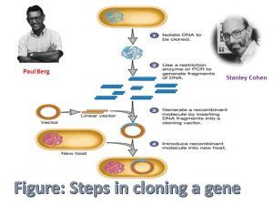 Recombinant DNA Technology Introduction History Procedure And Appli