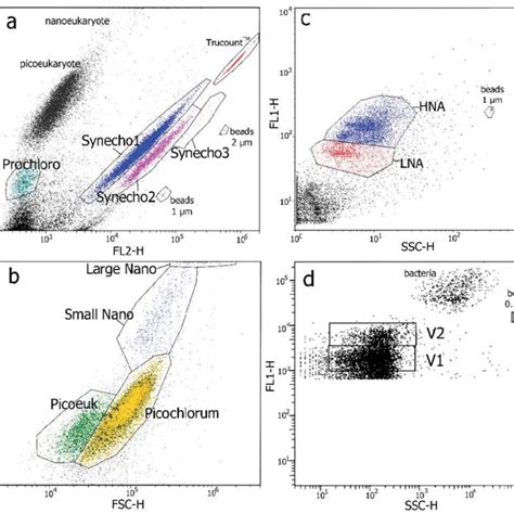 The Different Microbial Groups Identified Through Flow Cytometry Download Scientific Diagram