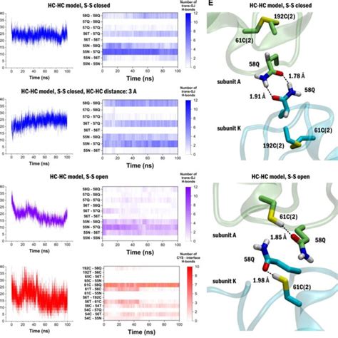 Free Cysteine Residues Cys54 Cys61 And Cys192 Disorient Residues