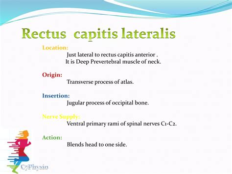 Muscles Of Neck Pptx