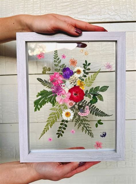 🌸natural Pressed Dried Flowers Diy Materials Dried Flowers Diy