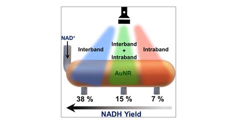 Deciphering The Role Of Light Excitation Attributes In Plasmonic Photocatalysis The Case Of