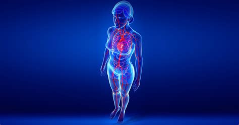 Percutaneous Transmural Arterial Bypass Medstar Health