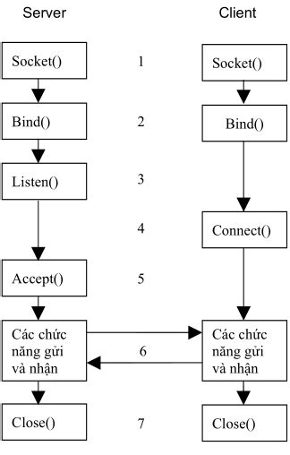 Lập Trình Socket Cho Giao Thức Tcp