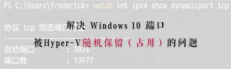 使用 nginx 反向代理将 jupyter lab 绑定到子域名 一个兆基