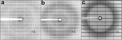 Fig S2 Representative X Ray Diffraction Patterns Diffraction Images