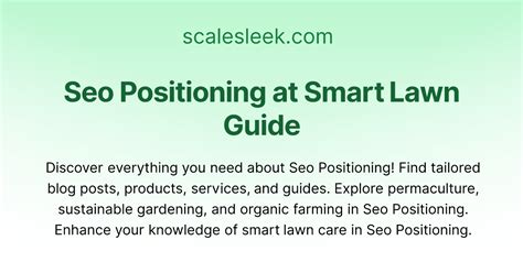 Level Up Your Seo Positioning Scale Sleek