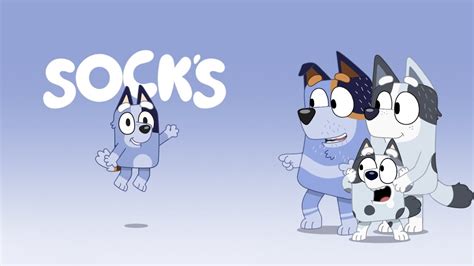 La Serie De Socks En Bluey Youtube