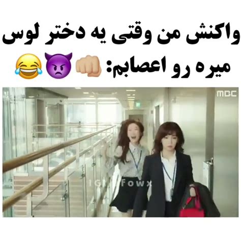 کلیپ شاخ کره ایی