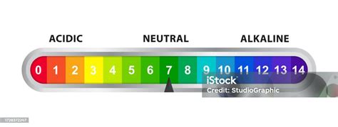 산 및 알칼리성 용액에 대한 Ph 값 척도 차트 산염기 균형 인포그래픽 건강한 식생활의 개념 산 알칼리성 용액에 대한 리트머스