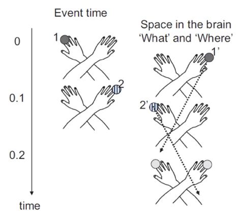 two steps in spatial remapping it is now generally accepted that a