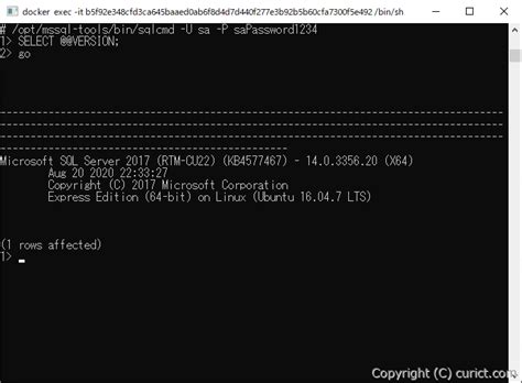 Sql Server Sqlcmd でバージョンとエディションを確認する方法