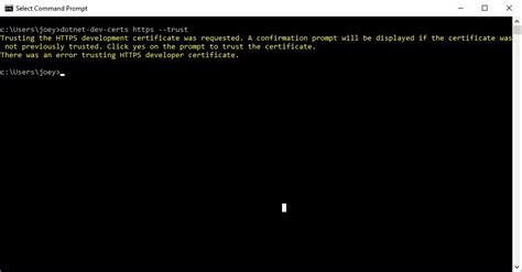 Net There Was An Error Trusting HTTPS Developer Certificate Stack Overflow