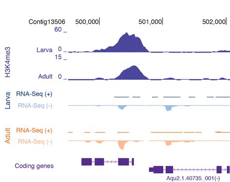 Developing A Scalable Genome Browser And Repository For Complex Multi Omic Datasets Genome