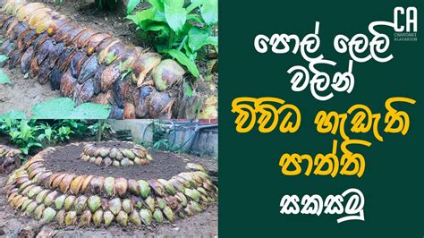 පොල්ලෙලි වලින් විවිධ හැඩැති පාත්ති සකසමු How To Make Polley Paththi Youtube