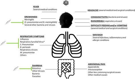 Of The Most Common Signs And Symptoms Of Sars Cov 2 Infection In Download Scientific Diagram