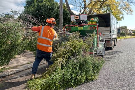 Evo S Tree Lopping Dingo Hire