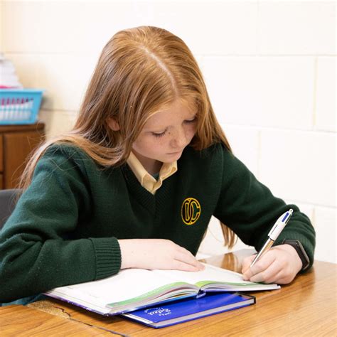 Mayo Sligo And Leitrim Post Primary Schools Msletb Second Level Schools