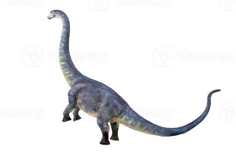 Dinosaur Brontosaurus Isolated Background 22609516 Png