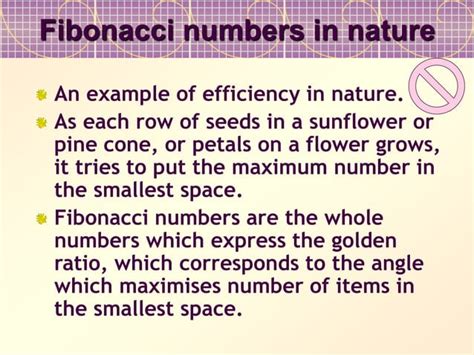 Fibonacci Feb Ppt