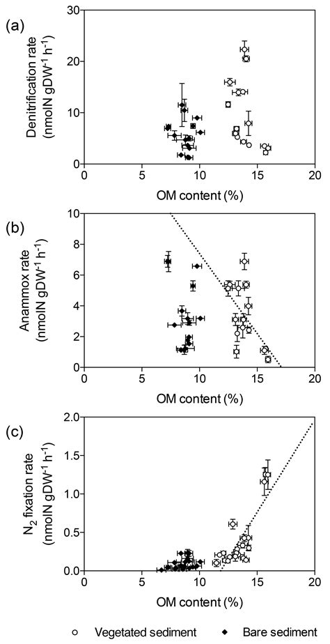 Denitrification Equation