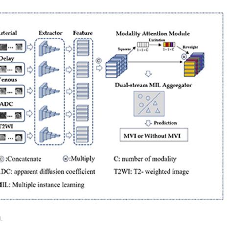 Model Performance Under Individual Mri Modality Download Scientific Diagram