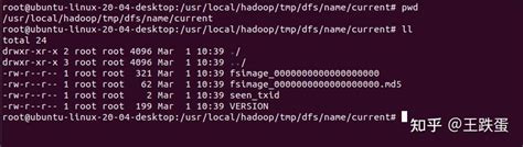 Hadoop的学习笔记二完全分布式的配置格式化启动 知乎