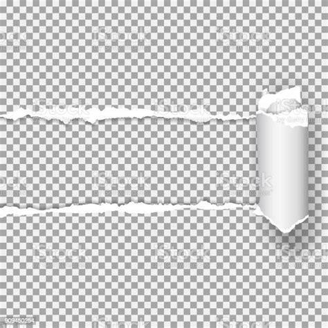 찢어진 종이와 현실적인 벡터 텍스트에 대 한 공간을 가진 가장자리를 찢 어 잘려지거나 찢어진 종이에 대한 스톡 벡터 아트 및 기타 이미지 잘려지거나 찢어진 종이 투명한