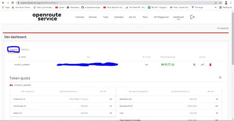 How To Generate Openrouteservice Api Key Nucleio Information Services