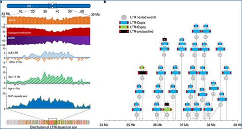 Long Read DNA And RNA Sequencing Uncovers Previously Uncharted Regions Of Complex And Inherently