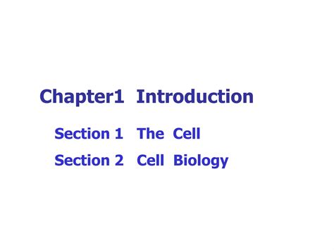 Chapter1.ppt