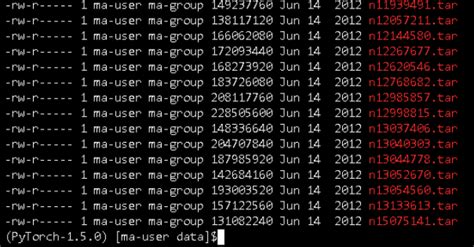 pytorch框架利用imagenet2012训练resnet50报错“couldn t find any class” 昇腾社区