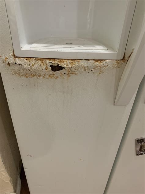 How Can I Repair This Rust On My Fridge Please Help R Howto