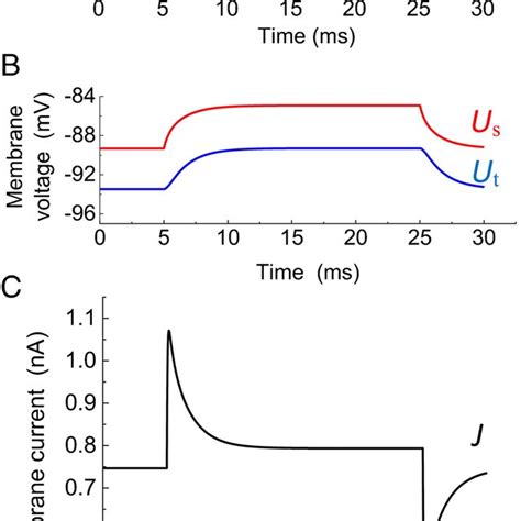 Solution Of The Equations Describing The Electrical Equivalent Circuit Download Scientific