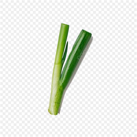 파 일러스트 파 양파 성분 Png 일러스트 및 Psd 이미지 무료 다운로드 Pngtree