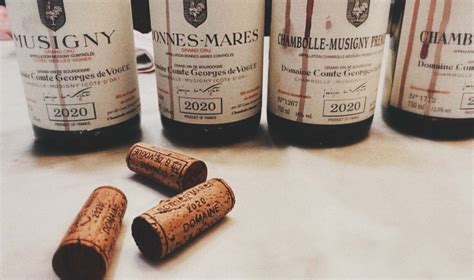 Pinot Noir deluxe: Domaine Comte de Vogue - BRU'S – Guide For Modern Gents