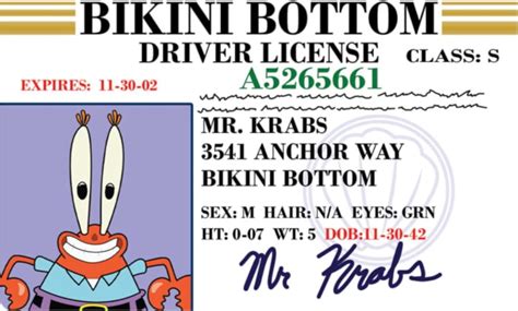 Signs 4 Fun Parody Drivers License Mr Krabs Id Fake Id Novelty Card