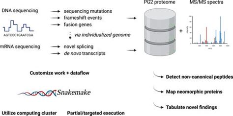 Integrative Proteogenomics Using Proteomegenerator2journal Of Proteome Research X Mol
